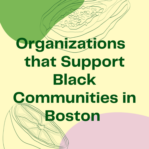 Organizations that Support Black Communities in Boston – viv for your v