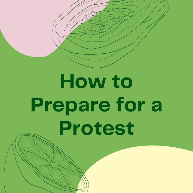 How to Prepare for a Protest – viv for your v