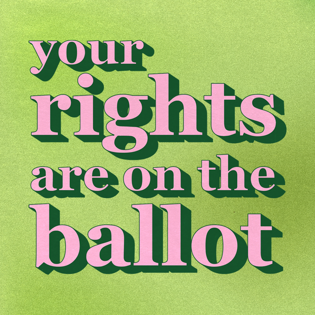 Your Rights Are On the Ballot: A Guide to Voting for Reproductive Just ...